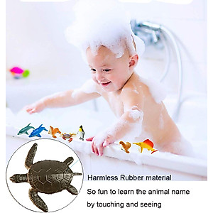 12 pcs Ocean Sea Animal Figures with 12pcs Matching Cards - OOTSR Ocean Creatures with Flash Cards for Education, Insect Themed Party, Playtime and Treasure Hunt