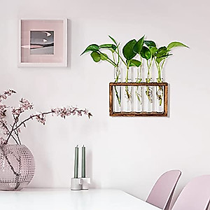 Foosibo Plant Terrarium with Wooden Stand, Wall Hanging Glass Planter Propagation Stations Flower Bud Vase with 5 Test Tubes, Tabletop Glass Terrarium for Propagating Hydroponics Plants (5 Tubes)