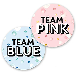 Gender Reveal Stickers - Set of 24 "Team Pink"&"Team Blue" Team Boy Or Girl Gender Reveal Stickers - Gender Reveal Party Stickers - Gender Reveal Team - Made in The USA by Palmer Street Press