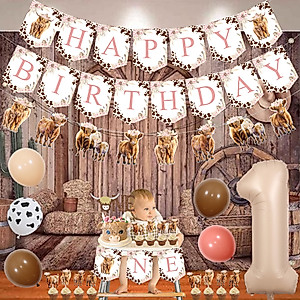 Highland Cow 1st Birthday Decorations Girl Pink Highland Cow Birthday Decorations Boho Highland Cattle Banner Cake Topper Balloons for Holy Cow Im One Farm Animal Birthday Party Supplies