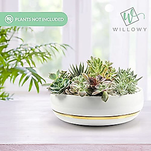 Large Succulent Planter with Drainage Tray - 10 Inch White Bowl with Metallic Gold - Modern Bonsai, Cactus, & Succulent Pot with Saucer - No Plants Included