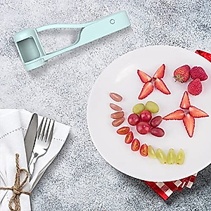 WhiteRhino Grape Cutter Grape Slicer for Toddlers Baby,Grape Cherry Tomato Strawberry Cutter Quarter Slicer tool For Vegetable Fruit Salad Cake Decoration,Stainless Steel kitchen Gadget Fruit Slicer