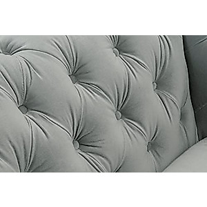 Iconic Home Modern Contemporary Tufted Velvet Down-Mix Cushons Acrylic Leg Sofa, Grey