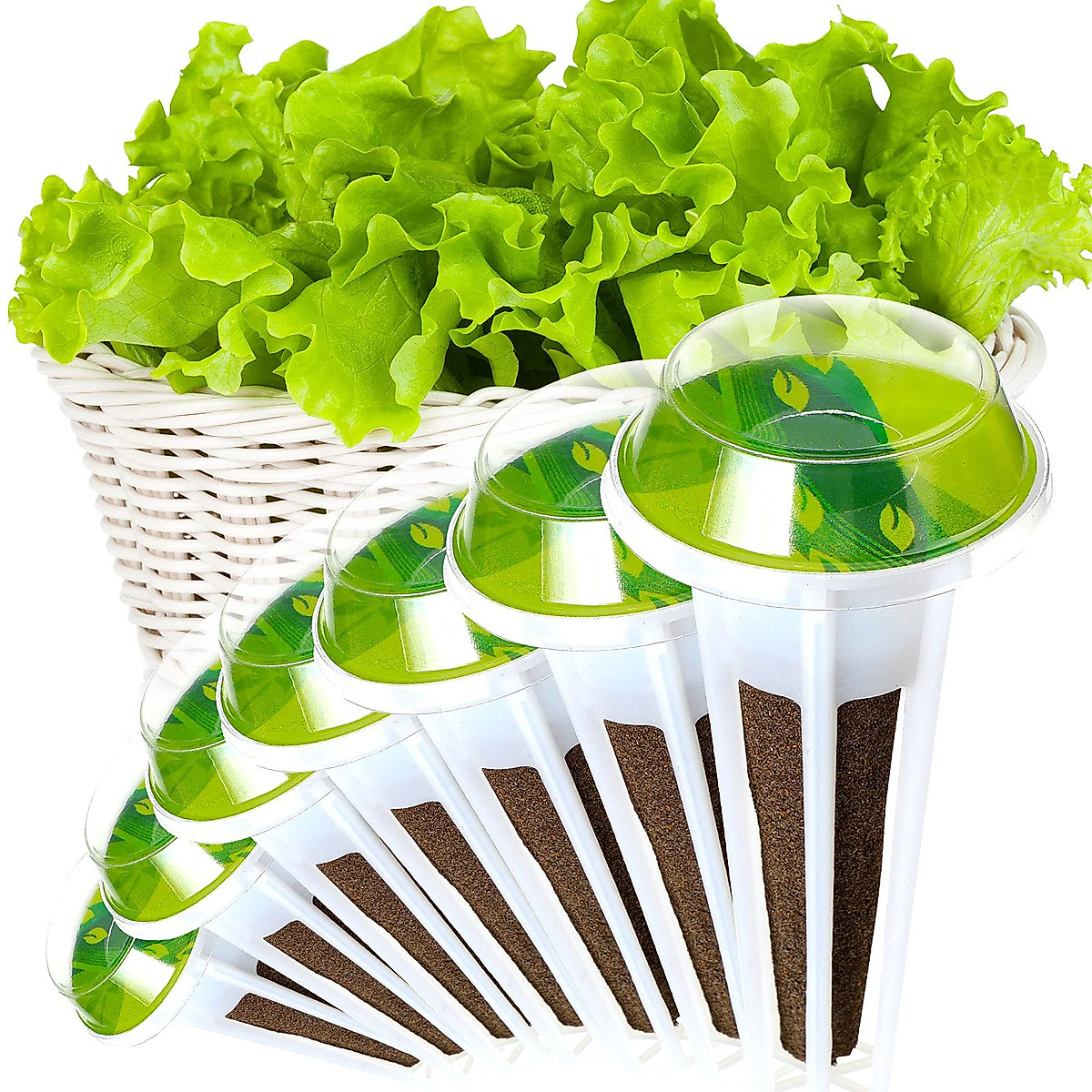 Jetec 100 Pieces Seed Pot Labels PVC Grow Baskets Stick Hydroponic Plant Label for Seedlings Seed Sticks for Understanding Plant Growth