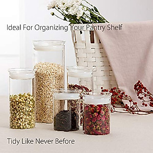 ZENS Airtight Glass Jar Container,15 Fluid Ounce Clear Glass Canister with Lid, Food Storage Jars for Kitchen Spice or Loose Tea,450ml