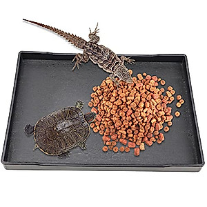 YOLUFER Reptile Food Water Bowl Plate Dish for Tortoise Crawl Pet Drinking and Eating Hallow Water Dish for Reptiles (Size3-L)