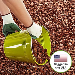 Perfect Plants Premium Orchid Bark 4qt. | Mulch Mix for Epiphytic Plants | Base for Orchid Potting Soil Substrate