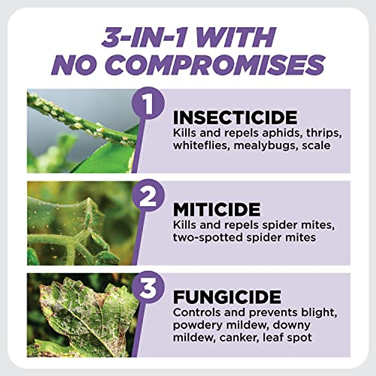 Earth's Ally 3-in-1 Plant Spray Concentrate | Insecticide, Fungicide & Spider Mite Control, for Indoor Houseplants & Outdoor Plants & Gardens - Insect, Pest & Antifungal Treatment, 32oz Concentrate