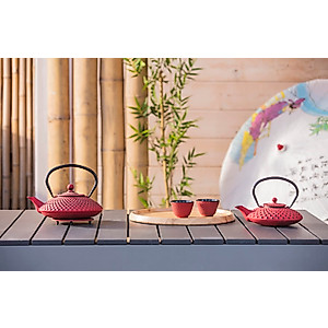 bredemeijer Cast Iron Tea Cups Red XILIN Set of 2