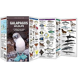 Galapagos Wildlife: A Folding Pocket Guide to Familiar Animals (Nature Observation International)