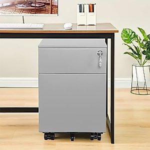 Aienid Steel Grey Cabinet 2 Drawer Mobile File Cabinet with Lock Metal Filing Cabinet for Legal/Letter/A4/F4 Size, Fully Assembled Include Wheels