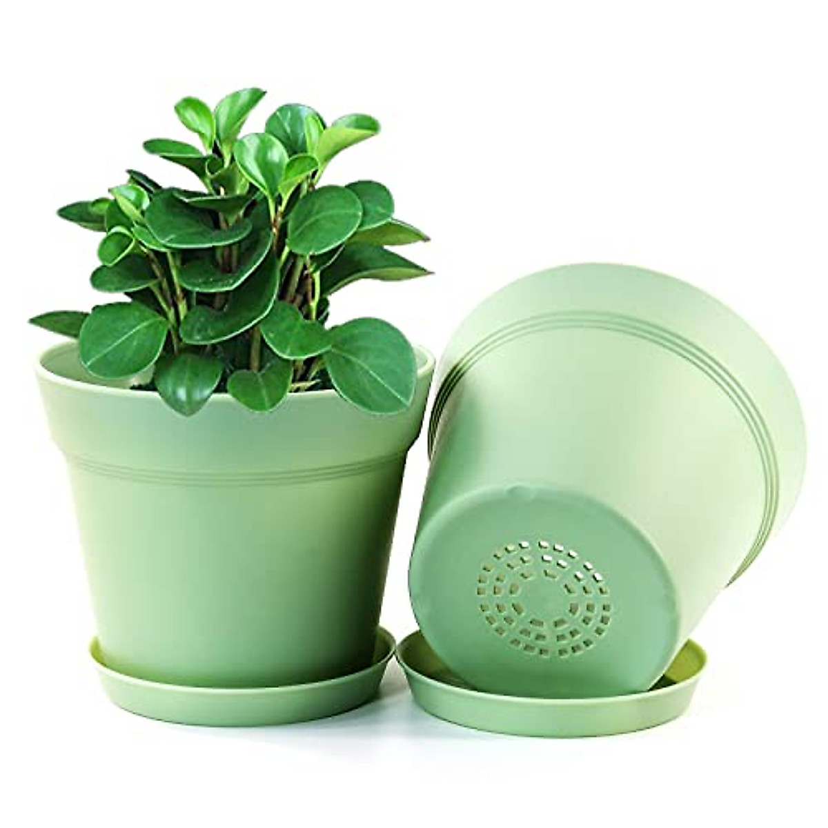 WOUSIWER 16 Pack 6-Inch Plastic Planters for Indoor Plants
