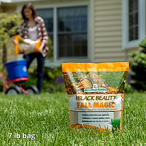 Jonathan Green (10768) Black Beauty Fall Magic Grass Seed - Cool Season Lawn Seed (7 lb)