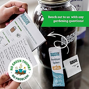 Back to the Roots Non-GMO Chili Planter, Grow Organic Chili Peppers Year Round, Windowsill Grow Kit, Top Gardening Gift, Holiday Gift, & Unique Gift