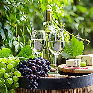 Wine Filter,Removes Histamine and Sulfites,Stop it Wine Allergies,Purifies Wine without Compromising Taste and Purity-The Most Special Gift for Mother's Day(Pack of 8)