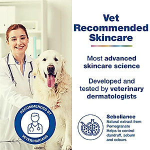 Douxo S3 SEB Shampoo 16.9 oz (500 mL) - Relief for Seborrhea in Dogs and Cats (Helps with Oily to Flaky Skin)