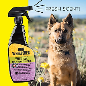 Yaya Organics Dog Whisperer Tick + Flea Home Treatment Spray, Proven Effective, Plant-Based (24 Ounces)