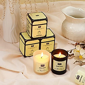 MTLEE 24 Pcs Candles for Home Scented Candles Gift Set for Women Bulk 8 Long Lasting Aromatherapy Jar Candle Soy Wax Candles for Teacher Birthday Thanksgiving Anniversary (Fresh Scent, Elegant Style)