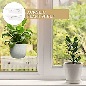 GANAZONO 1 Set Plant Support Plant Shelf Bonsai Stand Indoor Plant Pot Clear Plant Pot Wall Mount Floating Shelf Suction Cup Pot Racks Practical Plant Holders Suction Cup Plant Holders