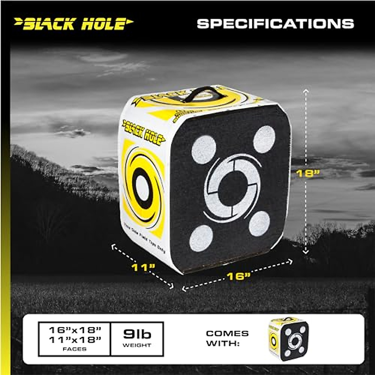 Field Logic Black Hole Archery Target 18"