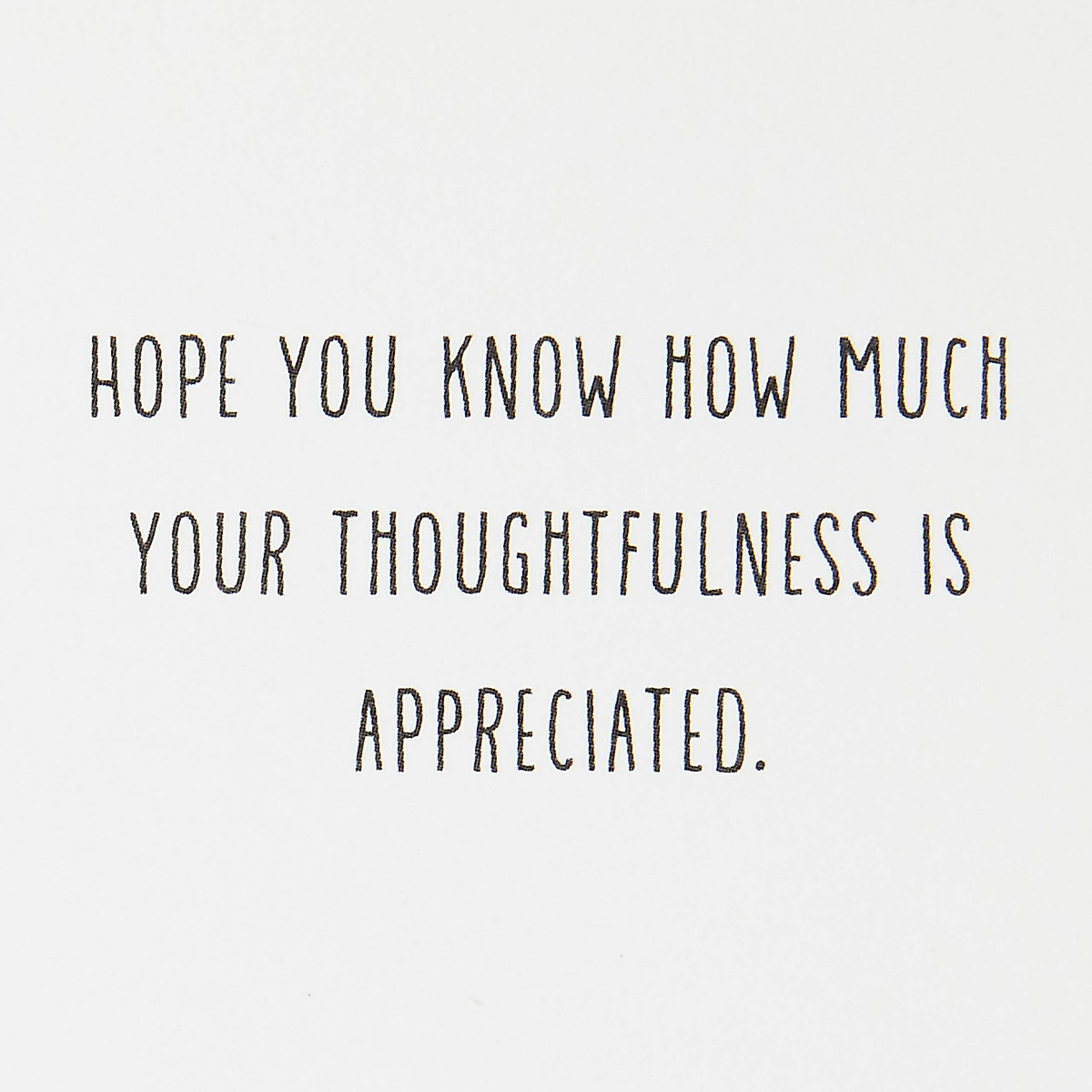 Hallmark Pack of 20 Thank You for Your Sympathy Cards, Gold Foil Greenery (Funeral Thank You Cards)