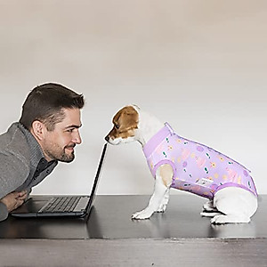 ASENKU Easter's Day Dog Onesie Pet Pajamas, Dogs Recovery Suit for Dogs Cats After Surgery, Dog Pajamas Outfit Bodysuit for Small Medium Large Dog Cat Costume (Easter's Day, XL)