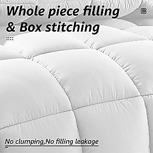HYLEORY All Season Queen Size Bed Comforter - Cooling Goose Down Alternative Quilted Duvet Insert with Corner Tabs - Winter Warm - Machine Washable - White