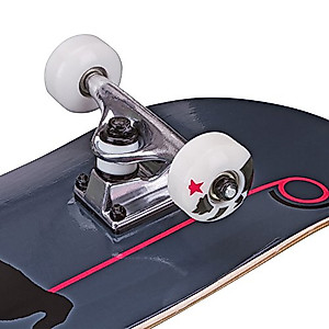 RD Deluxe Series Skateboard (Gray Cali Bear)