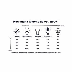 Designers Fountain 81801-FSN Mendocino Wall Sconce, Forged Sienna