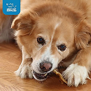 GigaBite Roasted Pig Ears for Dogs, Natural and Healthy Chews, Treats in Whole, Slices, or Sticks, Safe for Puppies and Aggressive Chewers, Clean Teeth and Gums - 2.2 pounds