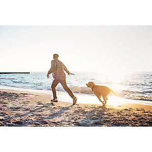 Aloha Medicinals K9 FullFlex, Dog Hip and Joint Supplement, Certified Organic and Mushroom Enhanced Dog Health Supplement, Pack of 1, 60 Chews