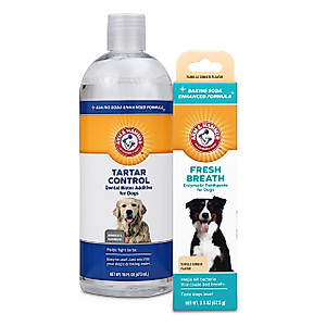 Arm & Hammer for Pets Combo Pack Dog Dental Tartar Control Water Additive and Fresh Breath Vanilla Ginger Enzymatic Toothpaste | Includes 16 Oz Dog Water Additive and 2.5 oz Dog Toothpaste