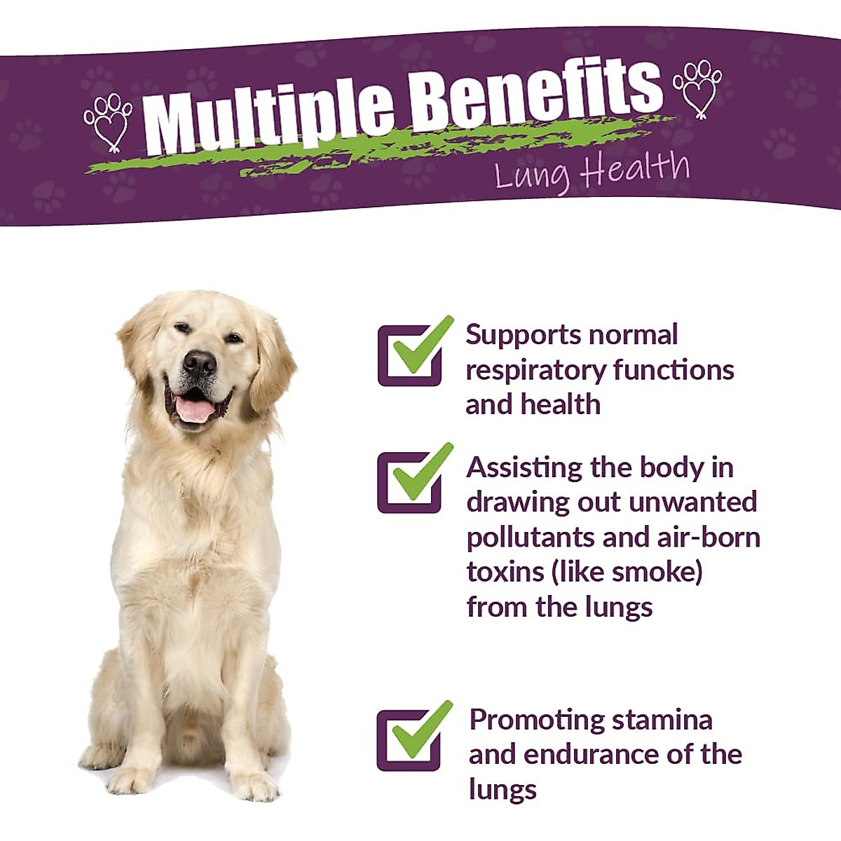 Amber NaturalZ Numo Care Lung Health Herbal Supplement for Dogs | Canine Herbal Supplement for Bronchial Support and Respiratory Lung Health | 1 Fluid Ounce Glass Bottle | Manufactured in The USA