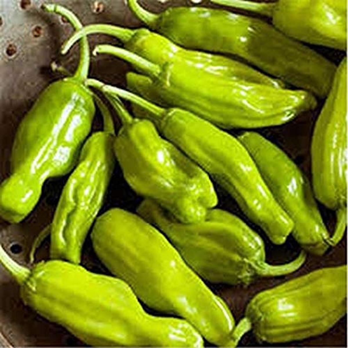 Golden Greek Pepperoncini Hot Pepper Seeds - A Perfect Addition to Greek Salads.(25 - Seeds)