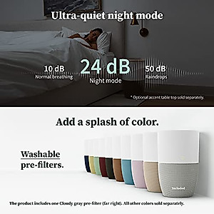 Dupray Bloom™ Air Purifier for Large Rooms with Planter or Custom Accent Table Design | For Home, Bedroom, Office, Dust, Pets | H13 HEPA Air Filtration (Planter, Cloudy Gray)