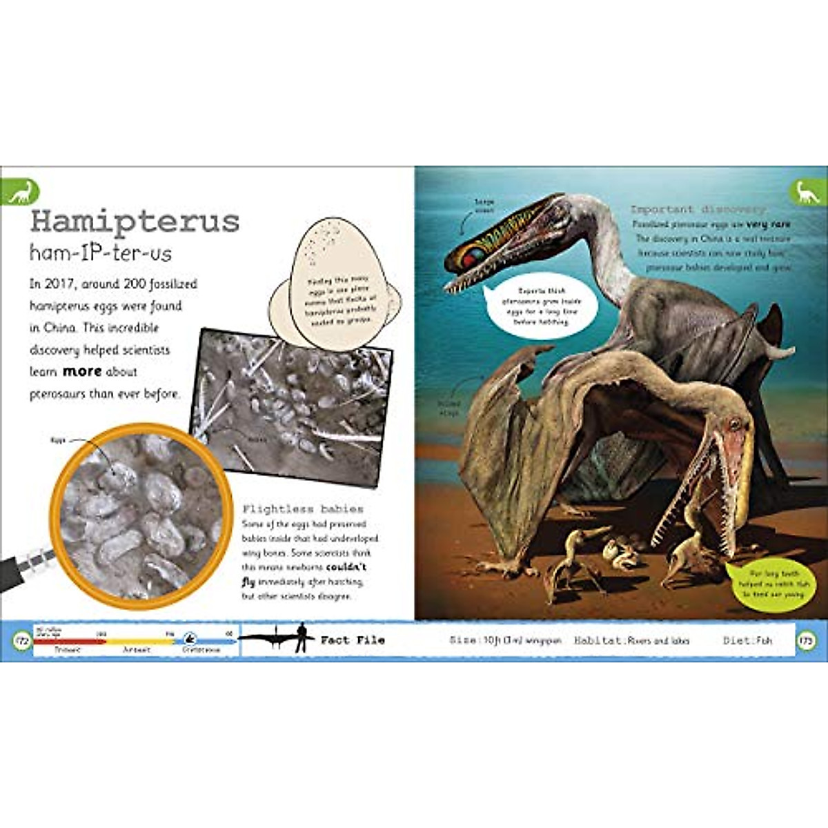 My Encyclopedia of Very Important Dinosaurs: Discover more than 80 Prehistoric Creatures (My Very Important Encyclopedias)