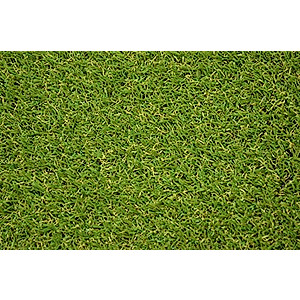 Garland Rug Puppy Pee Pad Artificial Grass Turf Rug, 3 ft x 4 ft, Green