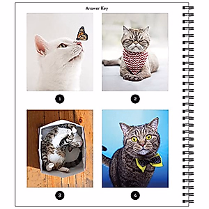 Brain Games - Sticker by Number: Cat-itude