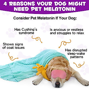 Dog Melatonin - Melatonin for Dogs - Dog Melatonin for Small Dogs - Cat Melatonin - Anxiety & Stress Relief - Promote Relaxation & Deep Sleep for Cat & Dog