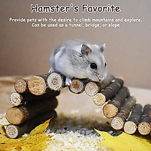 YASYU Hamster Wooden Bridge Bendable,Wooden Bendy Bridge Toys,Wooden Tunnel,Natural Rat Climbing Ladder,Small Animal Cage Accessory for Dwarf Syrian Hamsters Mice Guinea Pig Chinchilla