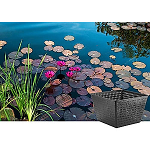 Little Giant 566556 UPB-1212-PW Square Aquatic Plant Basket for Ponds, 11.35 inches Square x 7.35 inches high, Black, 566556