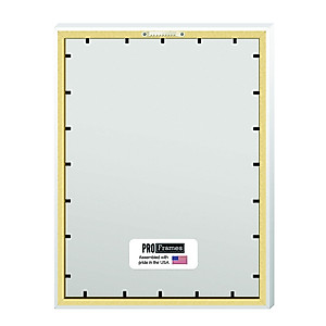 Pyramid America Framed Plexi Posters