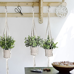 Artificial Plants 3 Pack Mini Fake Plants Fake Hanging Plants Artificial Decor with 3 Macrame Plant Hangers Decorative Plants Faux Hanging Plants Greenery Decor for Wall Kitchen Bathroom Home Office