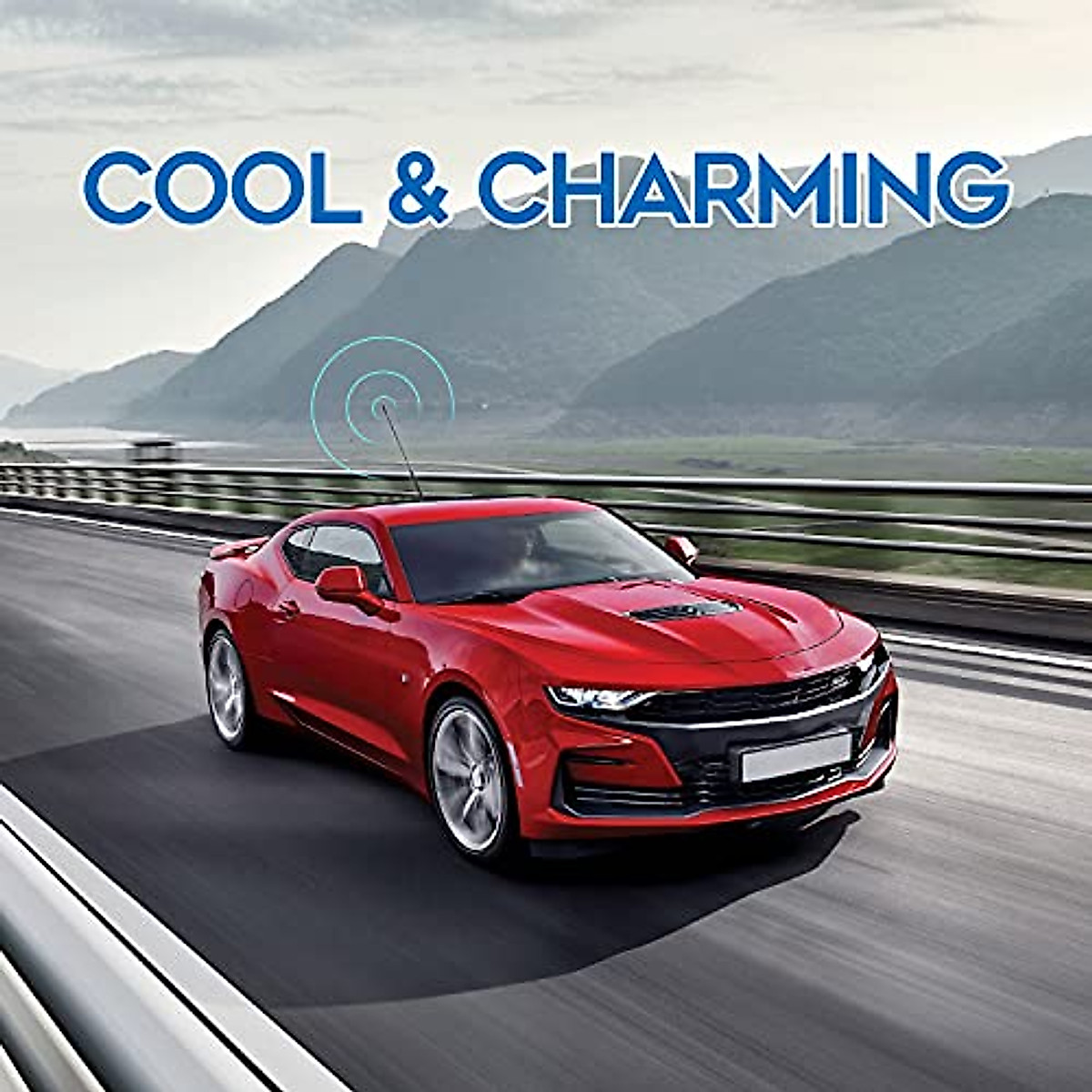 Eightwood Universal Vehicle Antenna Replacement 16 inch, AM FM Roof Mount Car Radio Antenna Mast, Flexible Rubber Antennae with M4 M5 M6 Threaded Adapter