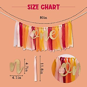 MUWEOL Little Pumpkin 1st Birthday High Chair Banner - First Birthday Highchair Ballet Banner, Halloween Birthday Party Decorations，Baby Shower Decor (Pumpkin banner orange and pink)