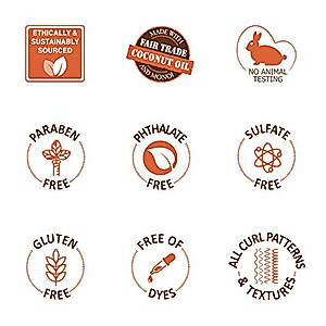 Palmer's Coconut Oil Formula Moisture Boost Leave-In Conditioner, 8.5 Ounce