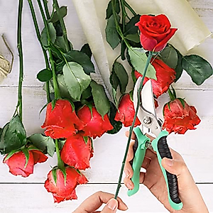 Garden Pruning Shears, 7.5" Professional Gardening Scissors, SK-5 Stainless Steel Blade Tree Secateurs, Manual Pruner for Plants, Gardening, Trimming, Garden Tools (Green)