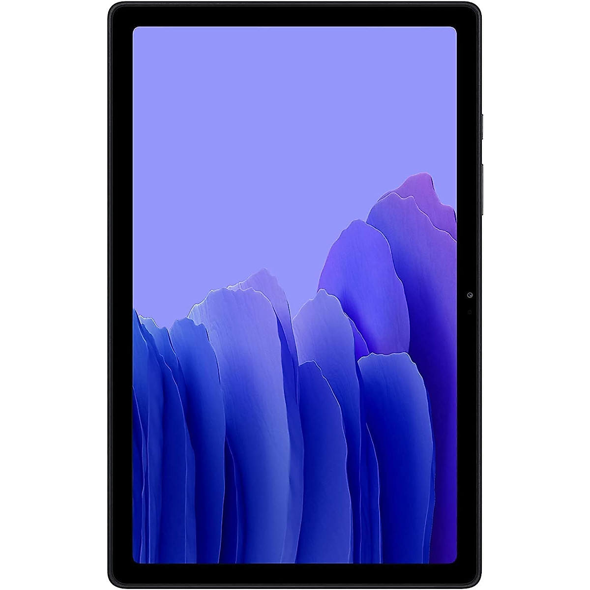 SAMSUNG A7 Tab 10.4''(2000x1200) Wi-Fi Tablet, Qualcomm Snapdragon 662, 3GB RAM 64GB Storage, Gray + Accessories