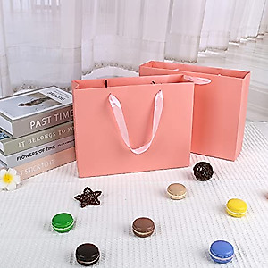 Dasofine Pink Gift Bags, 12pcs 10.86'' × 3.14'' × 8.5'' Small Paper Bags with Handle, Party Favor Gift Bags, Shopping Bags Bulk Crafts Retail Goodies Bags