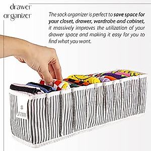 EDNA HOME Underwear Drawer Organizer, Closet Storage and Organizer with Foldable Compartments for Clothing, Tshirt, Towels, Underwear, Small Size